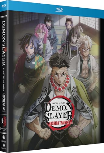 DEMON SLAYER (ANIME) - BLU-HASHIRA TRAINING ARC – Beat Goes On